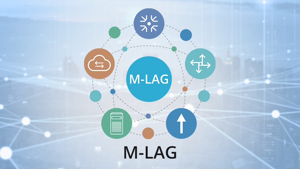 What Is M-LAG? Why Is M-LAG Needed? | FS Community
