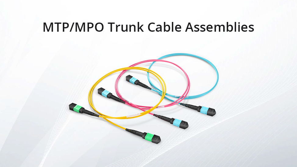 MTP/MPO Trunk Cable Assemblies | FS Community