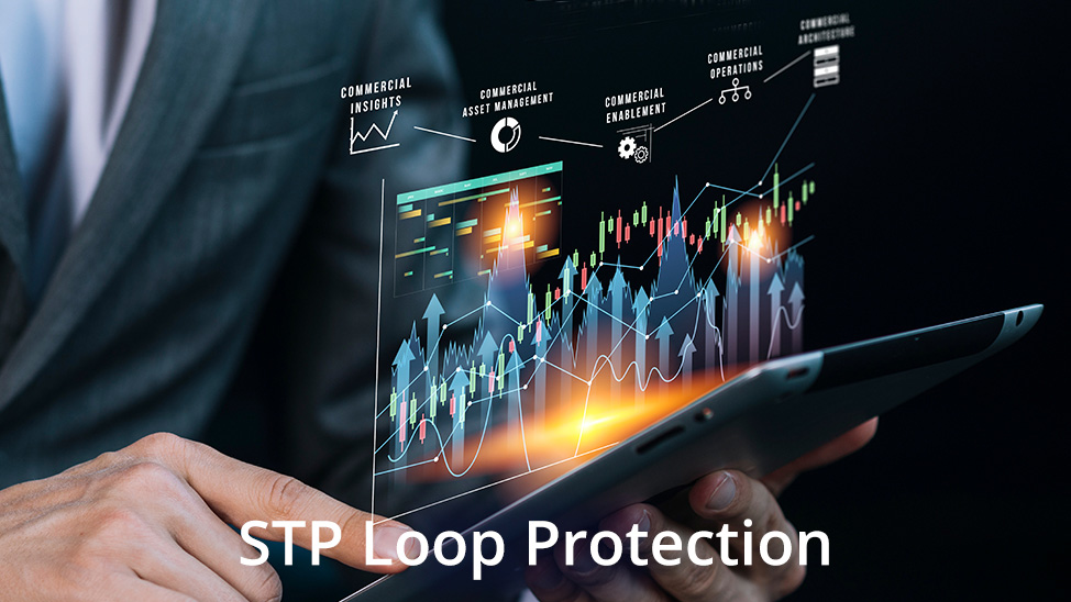 What Is STP Loop Protection? | FS Community