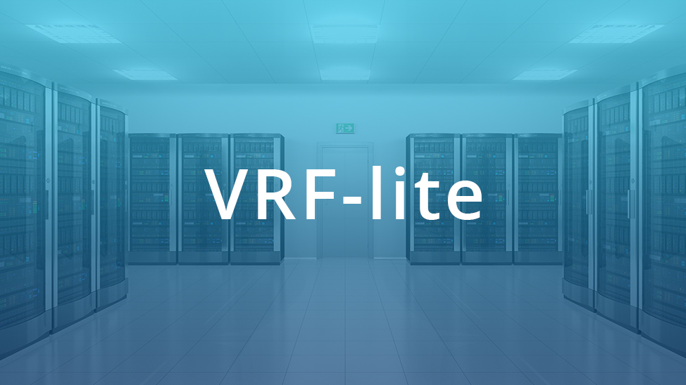 Understanding VRF Lite: Key Features and Configuration | FS Community
