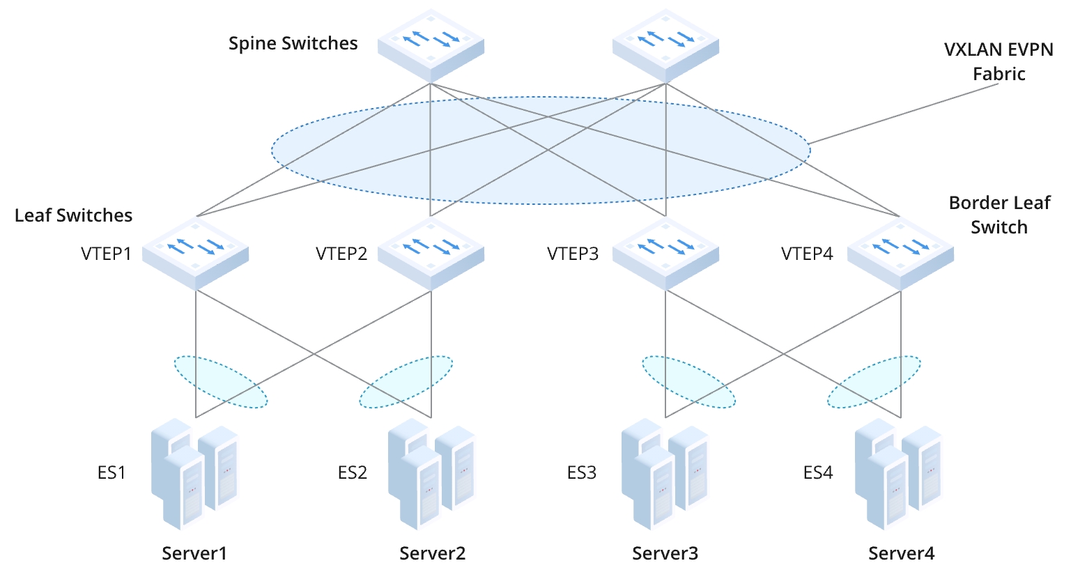 What is EVPN Multihoming? | FS Community