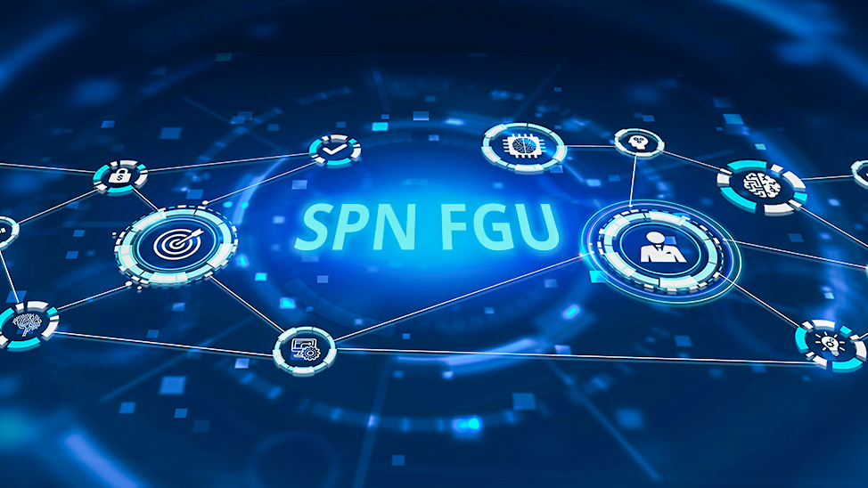 What Is SPN FGU?Where Can SPN FGU Be Used? | FS Community
